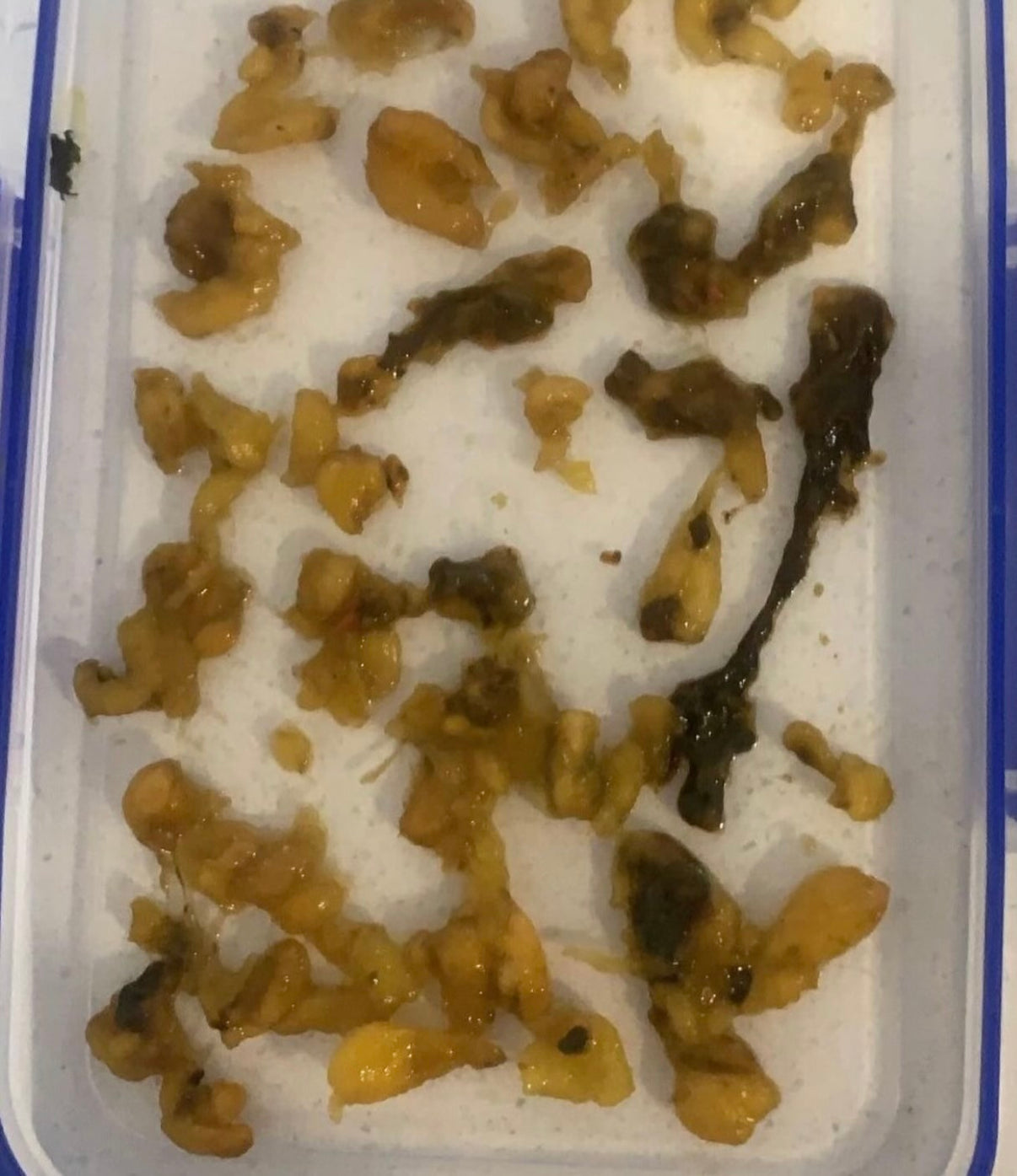 Fungal and Parasite Cleanse Guide (pdf) – Corrective Culture